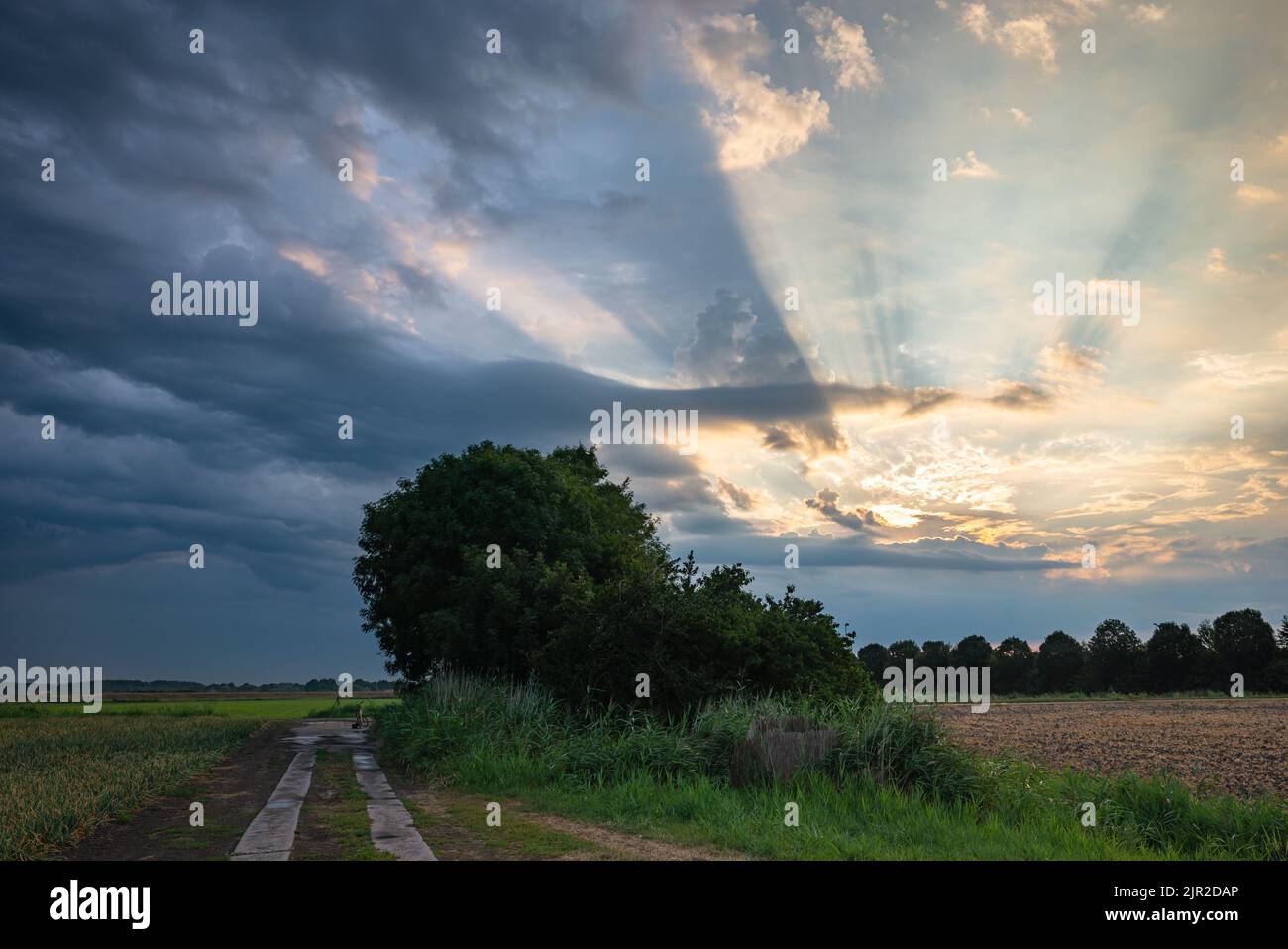 Sun beams seem to emerge from one point behind the clouds. In ...