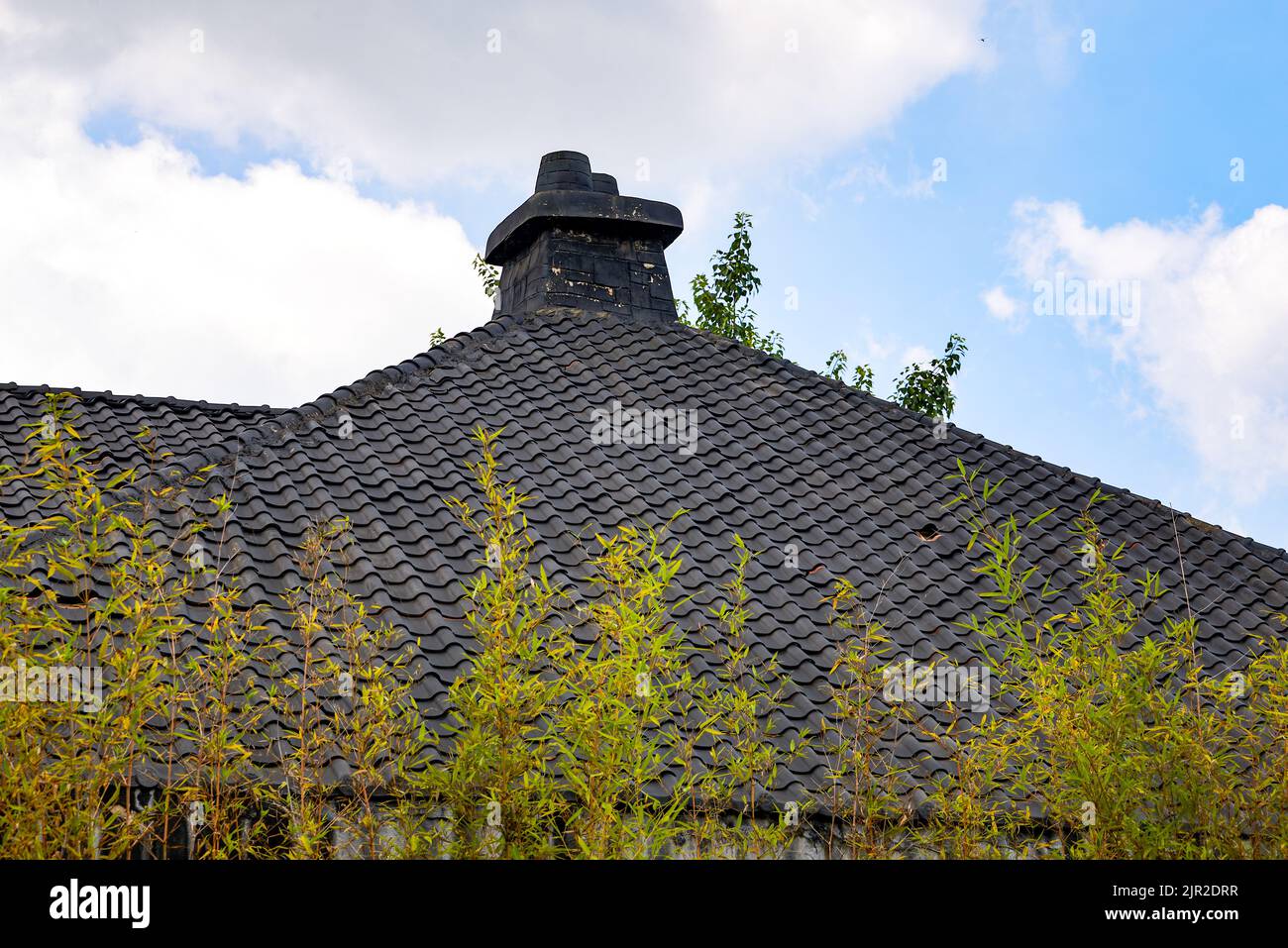 Japanese architectural style brick roof Stock Photo - Alamy