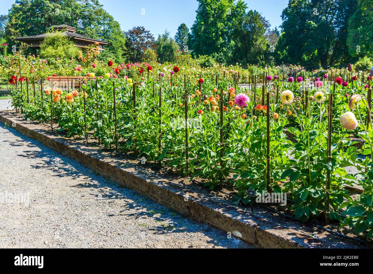 A view of the vast garden at Point Defiance Park in Tacoma, Washington ...
