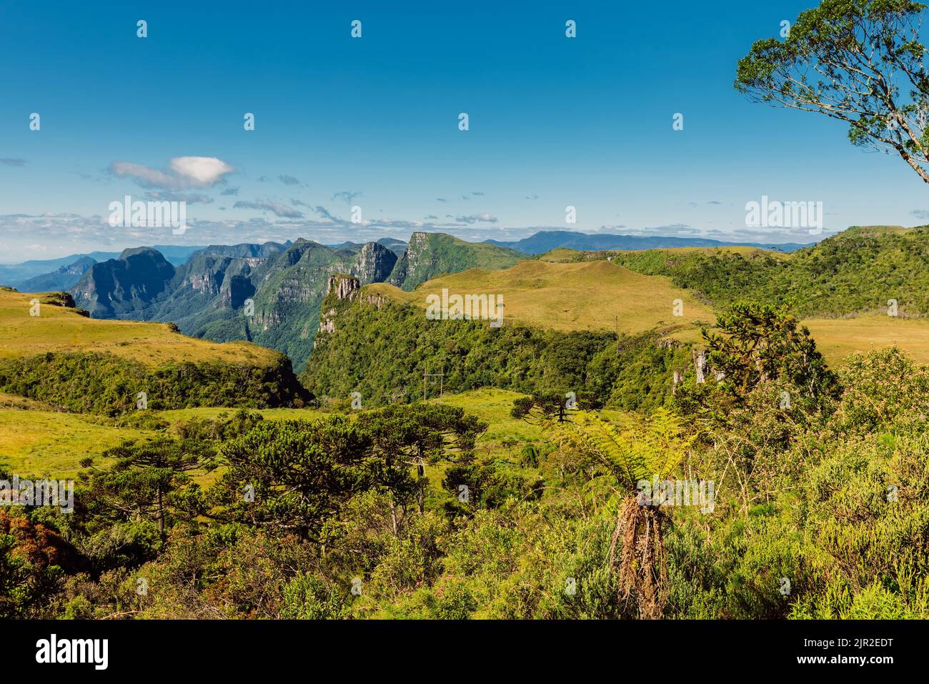 Scenic landscape with Espraiado canyon in Santa Catarina, Brazil Stock ...