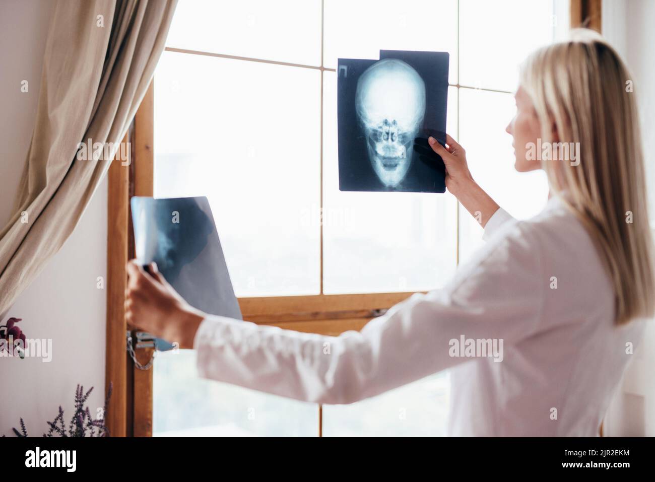 Female doctor examines skull scans in office Stock Photo - Alamy