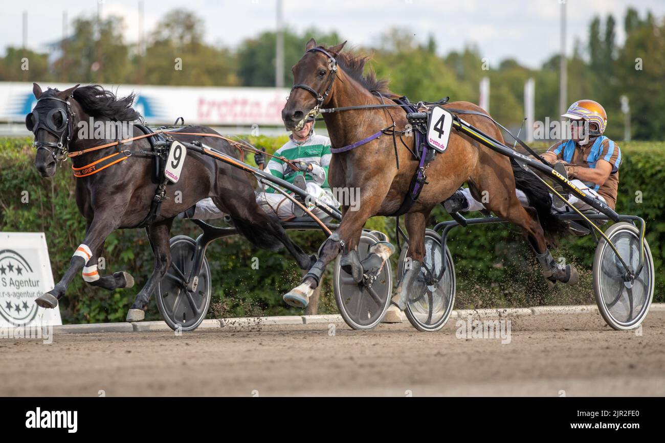 Berlin, Germany. 21st Aug, 2022. Horse racing: Trotting races, 127th ...