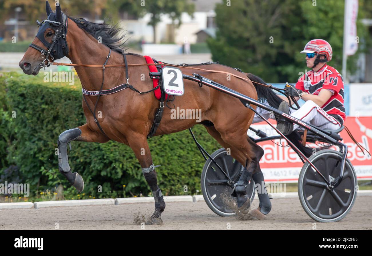Berlin, Germany. 21st Aug, 2022. Horse racing: Trotting race, 127th ...