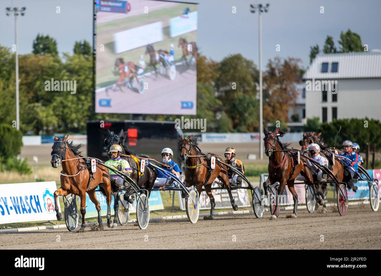 Berlin, Germany. 21st Aug, 2022. Horse racing: Trotting race, 127th ...