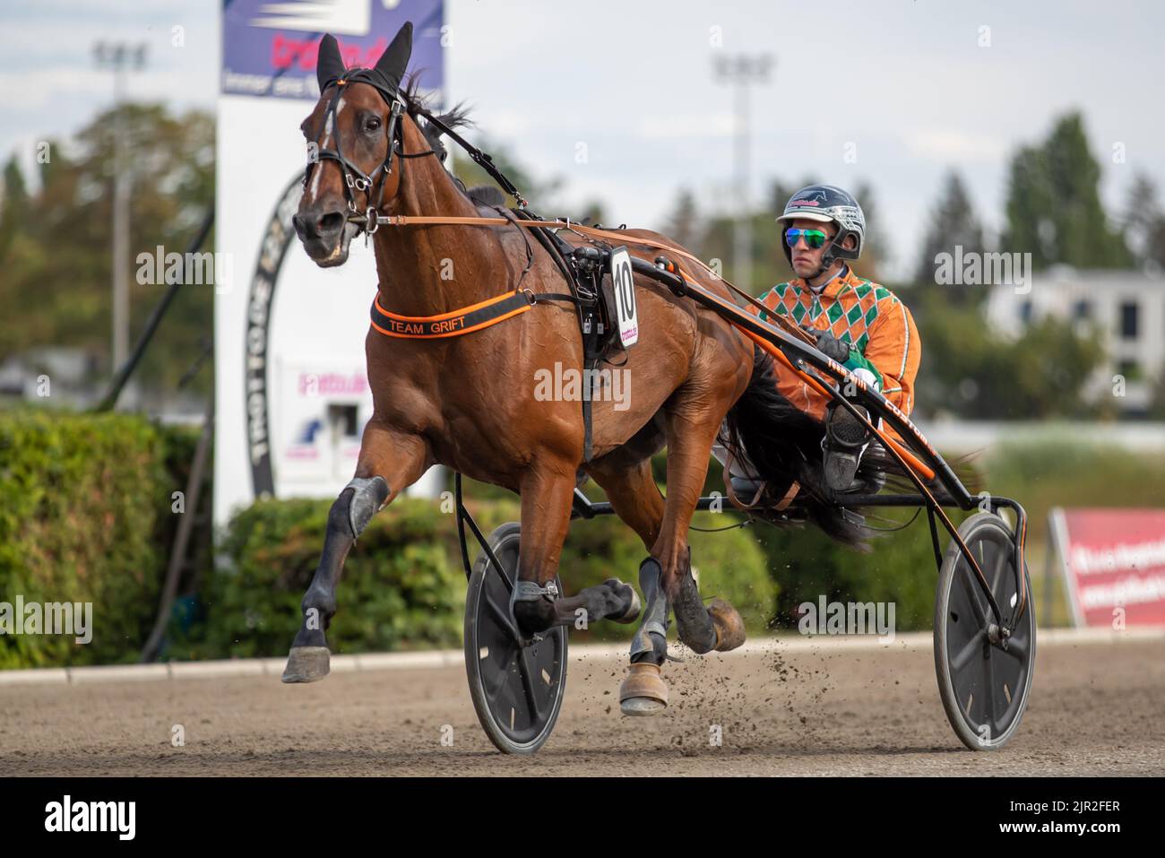 Berlin, Germany. 21st Aug, 2022. Horse racing: Trotting race, 127th ...
