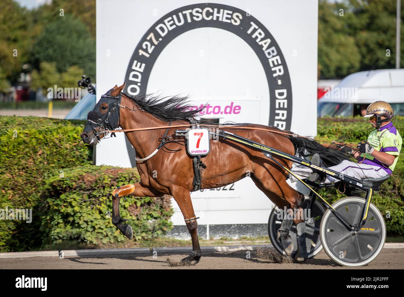 Berlin, Germany. 21st Aug, 2022. Horse racing: Trotting race, 127th ...