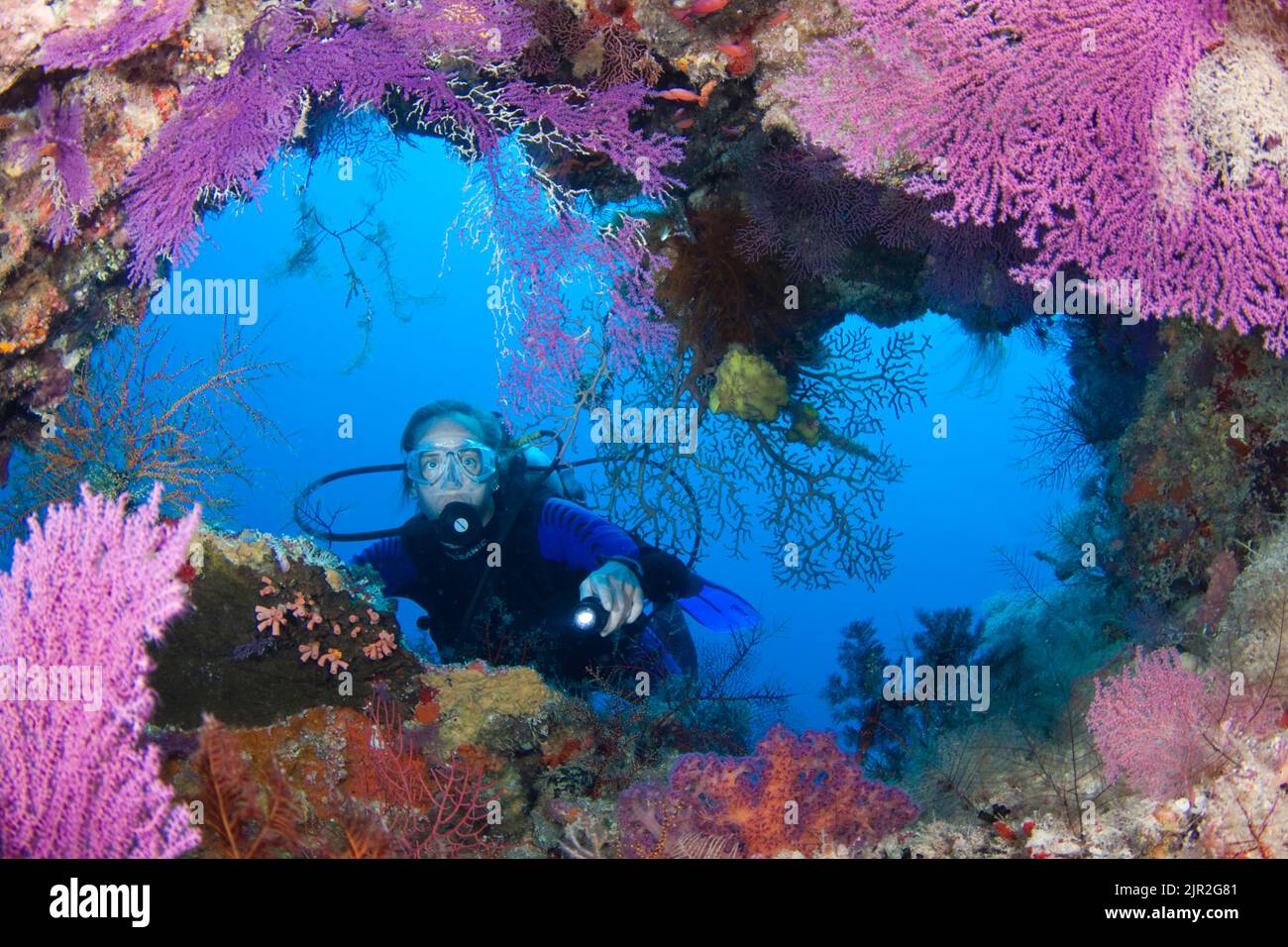 Underwater entrance of cave diver hi-res stock photography and images ...
