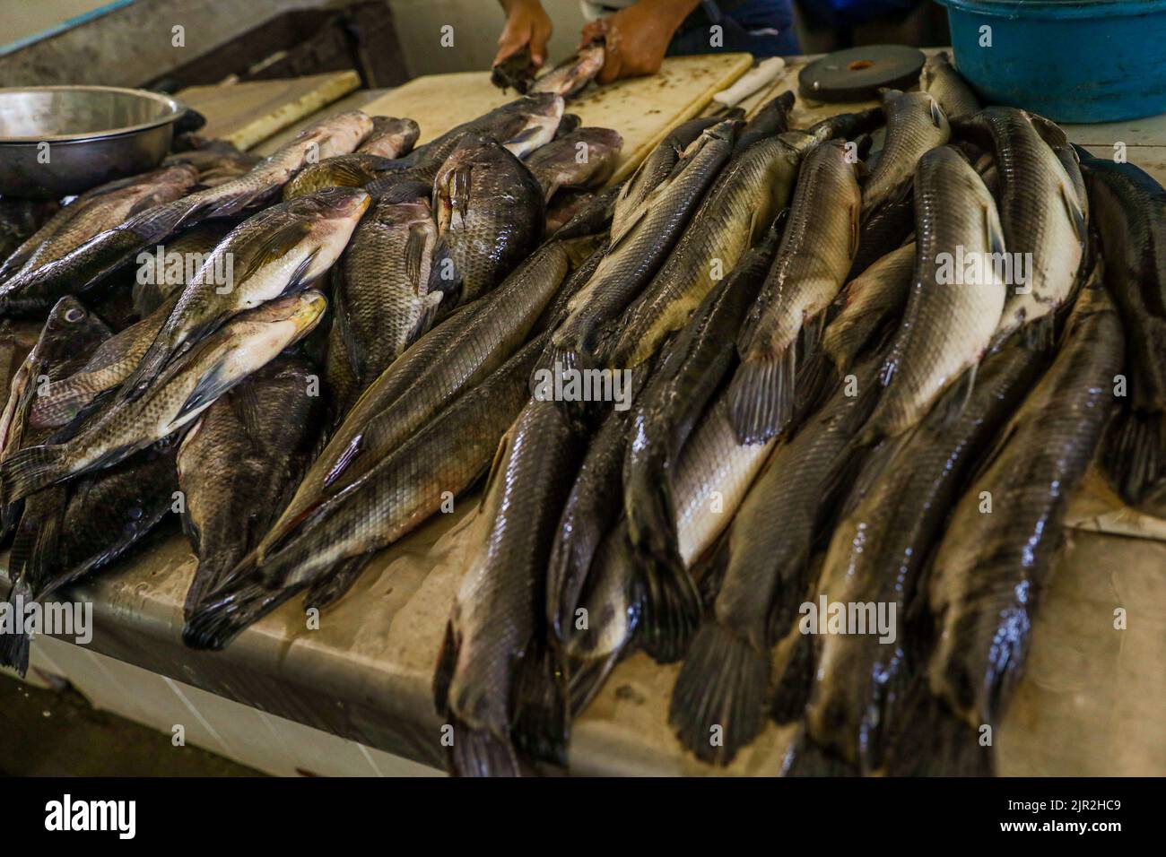 Traditional fish and seafood market in "Alonso Felipe de Andrade ...