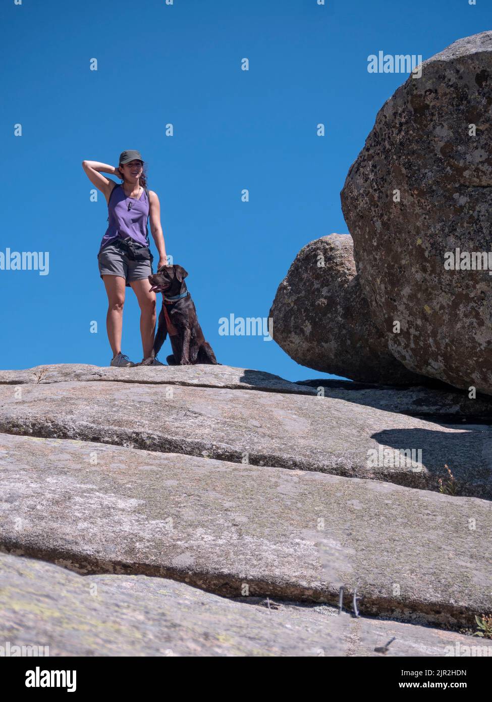 Female trekker with chocolate labrador retriever looking at the views ...