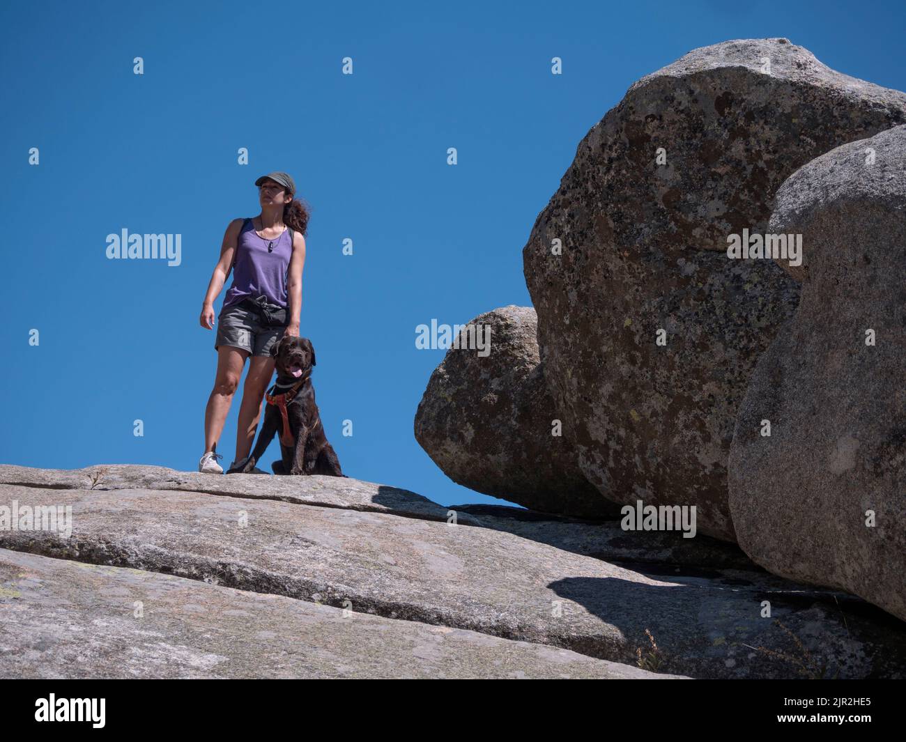 Horizontal view of female trekker with chocolate labrador retriever ...
