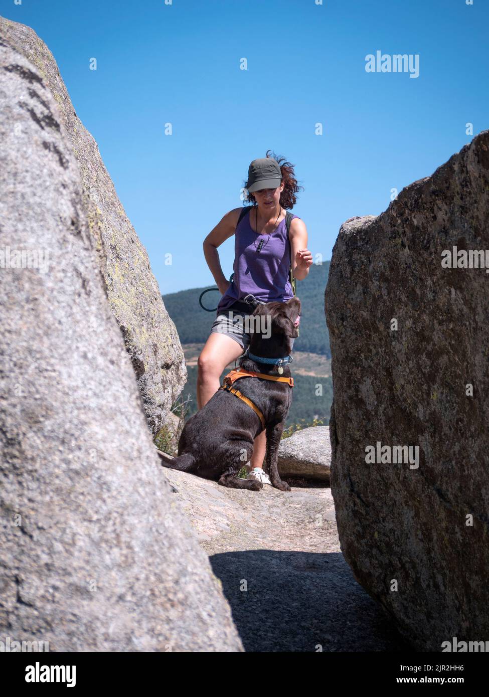 Female dog owner with green cap on training her dog to follow her with ...