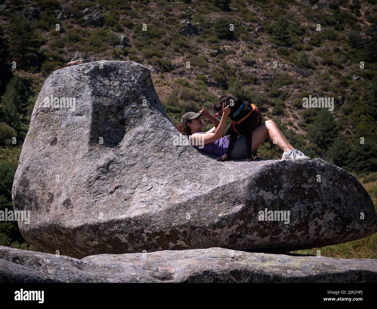 Female dog owner playing with her chocolate labrador retriever on a ...