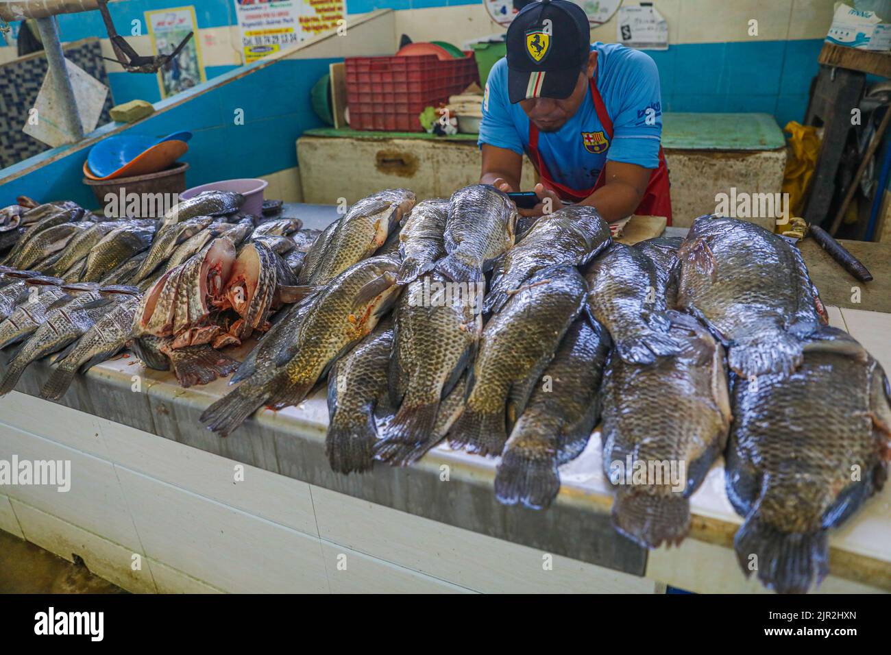 Traditional fish and seafood market in "Alonso Felipe de Andrade ...