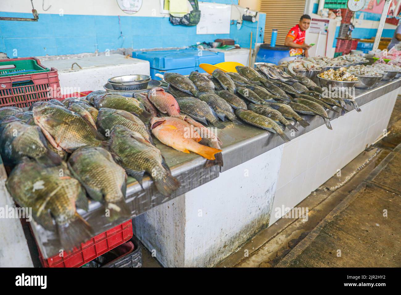 Traditional fish and seafood market in "Alonso Felipe de Andrade ...
