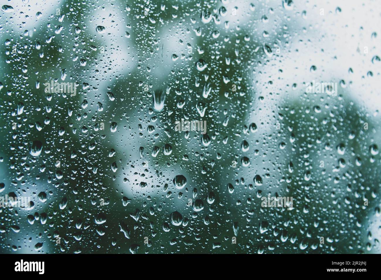 Sun after rain. Drops on glass. It's been raining. Texture on glass ...