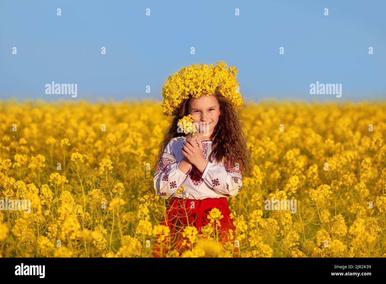 Ukrainian child girl in traditional embroidery and yellow wreath in ...