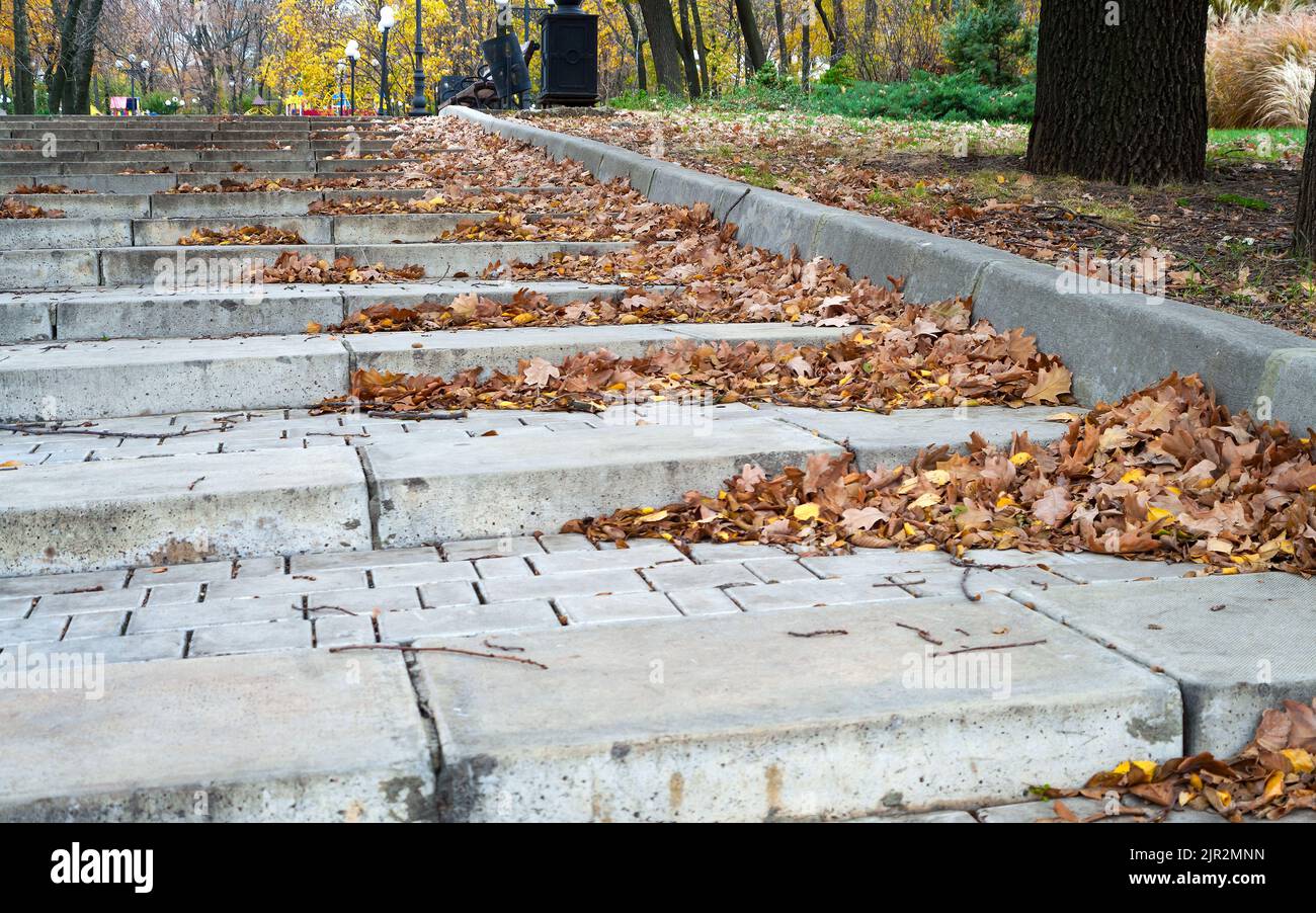 Park steps hi-res stock photography and images - Alamy