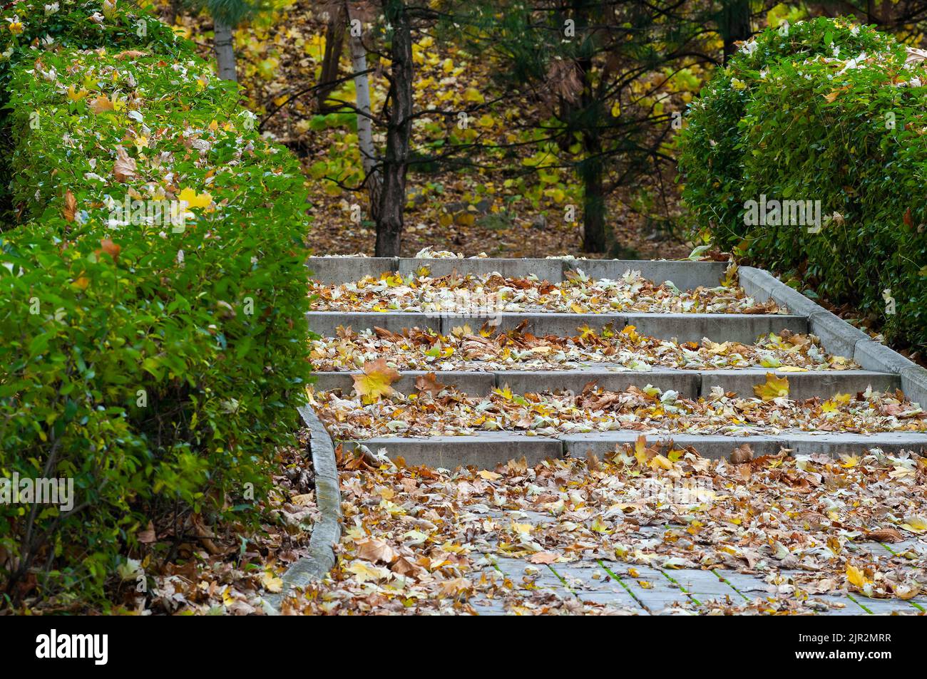 Steps in pathway hi-res stock photography and images - Alamy