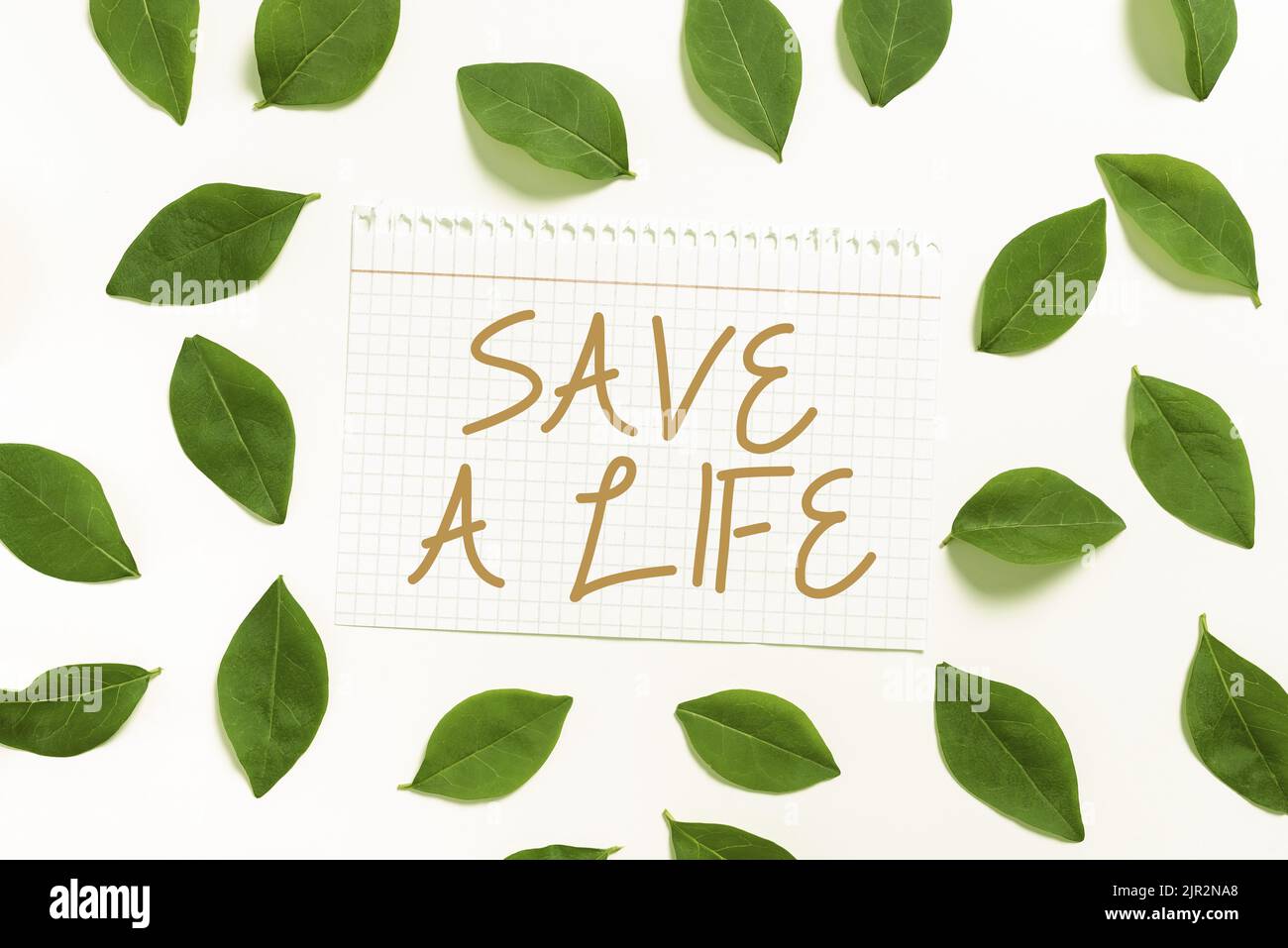 Sign displaying Save A Life. Business concept Help assistance saving ...