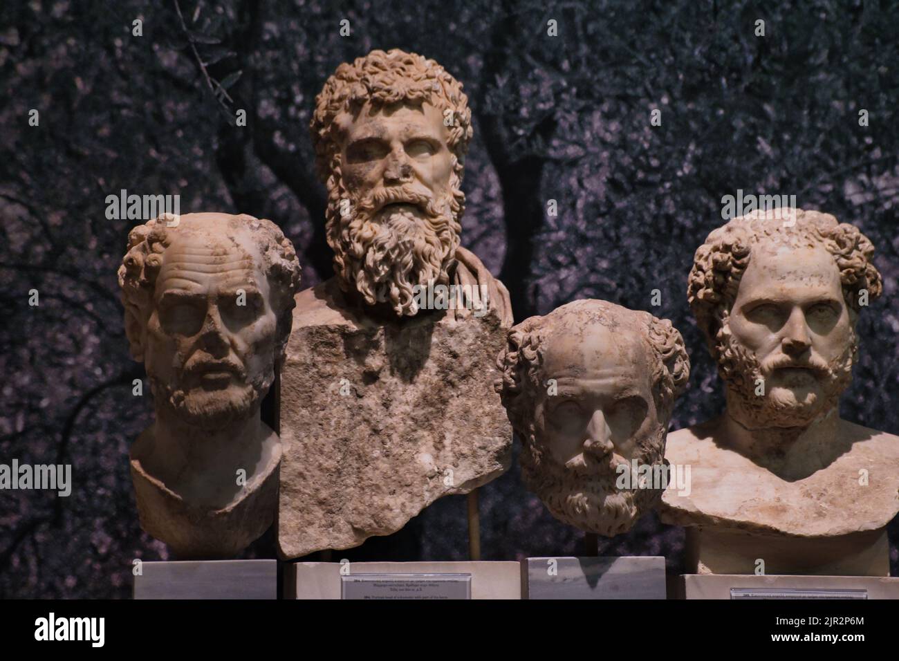 Marble busts of the emperor Hadrian and important greek citizen of his ...
