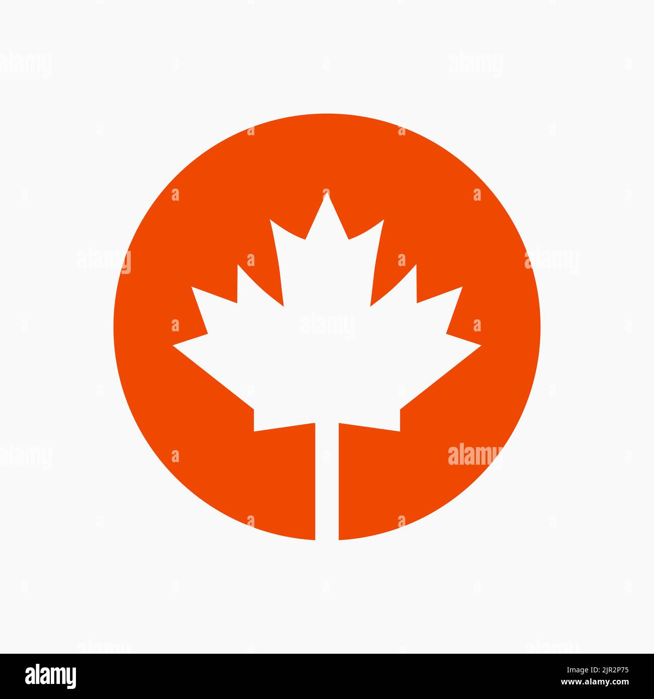 Canadian Red Maple Logo on Letter O Vector Symbol. Maple Leaf Concept ...