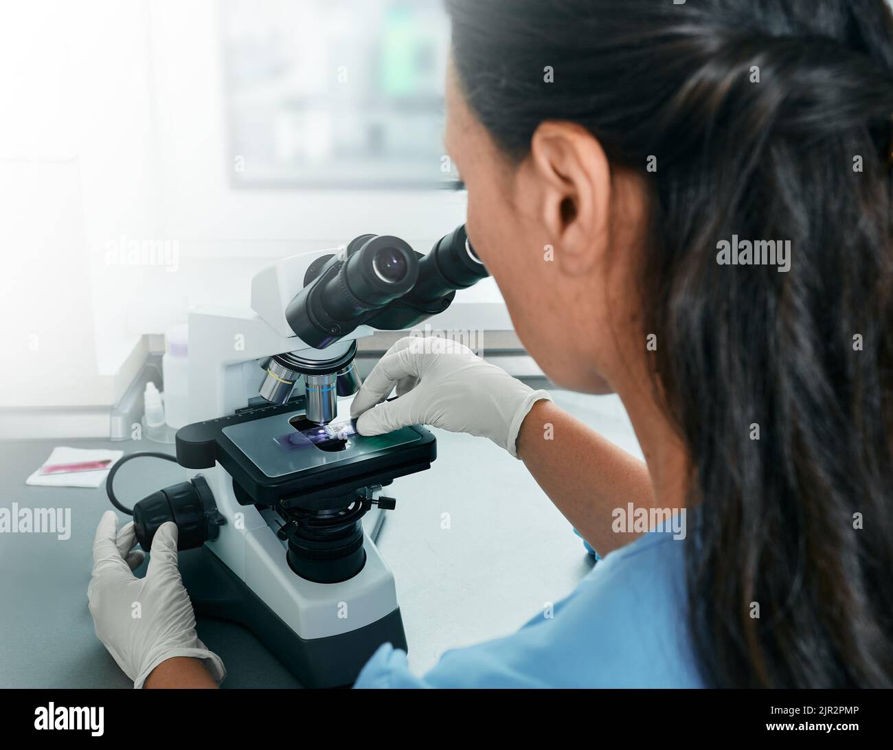 Laboratory assistant researching of test sample under medical ...