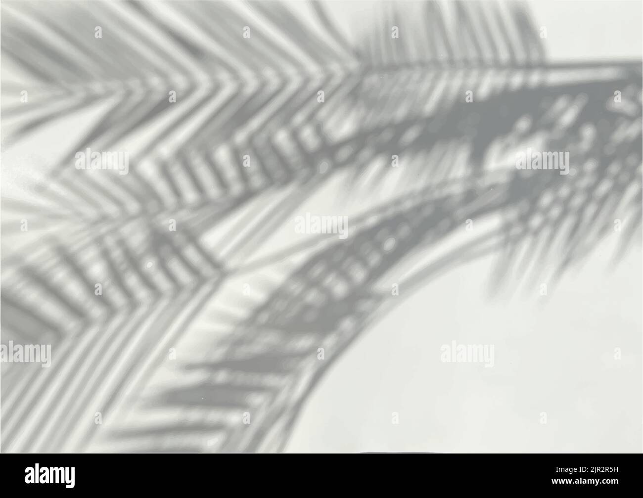 Tropical palm leaves shadow on grey wall, abstract background, flat lay ...
