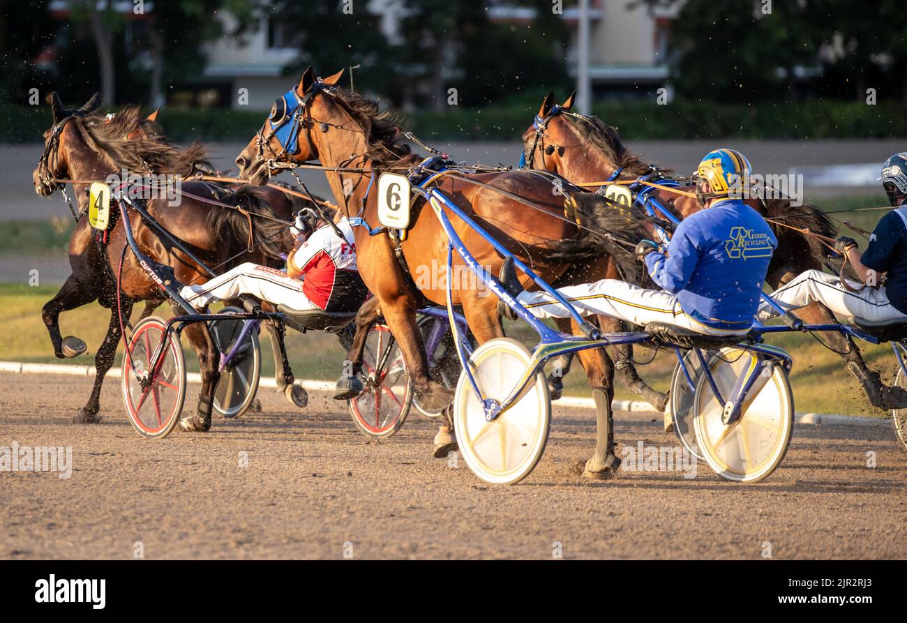 Berlin, Germany. 21st Aug, 2022. Horse racing: Trotting race, 127th ...