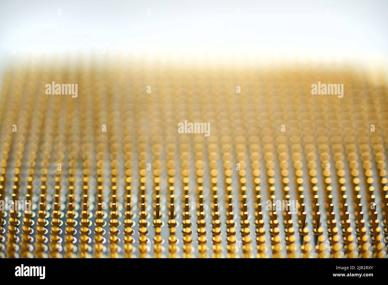 Microprocessor on white background. golden pins facing up. The concept ...