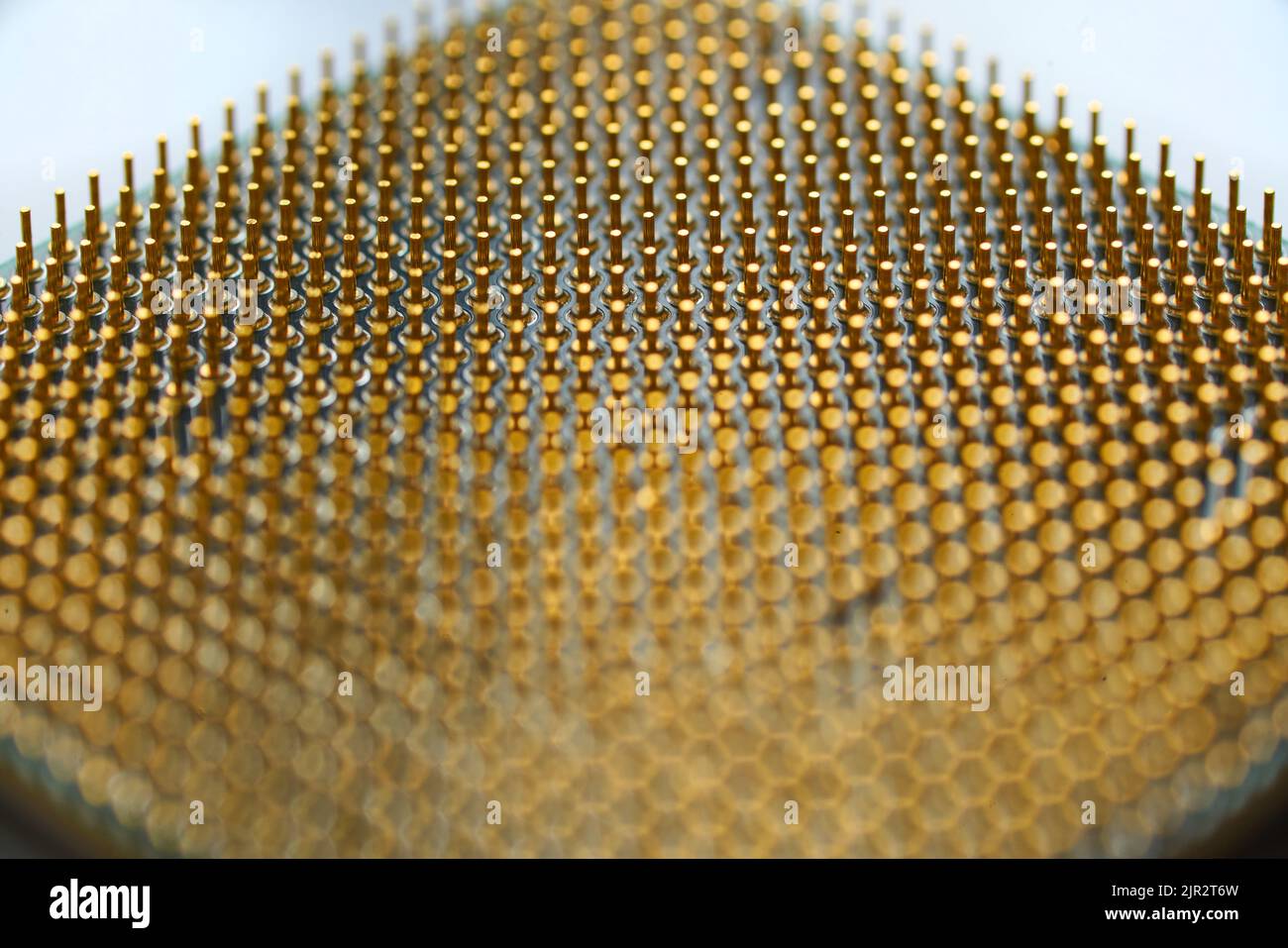 Microprocessor on white background. golden pins facing up. The concept ...