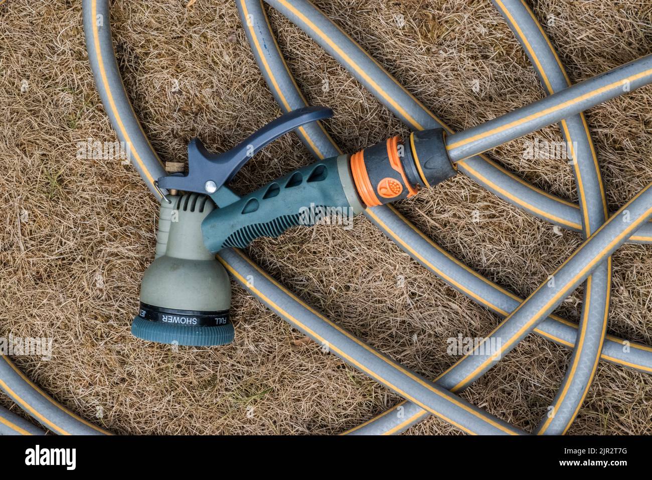 Garden hose on a parched lawn Stock Photo - Alamy
