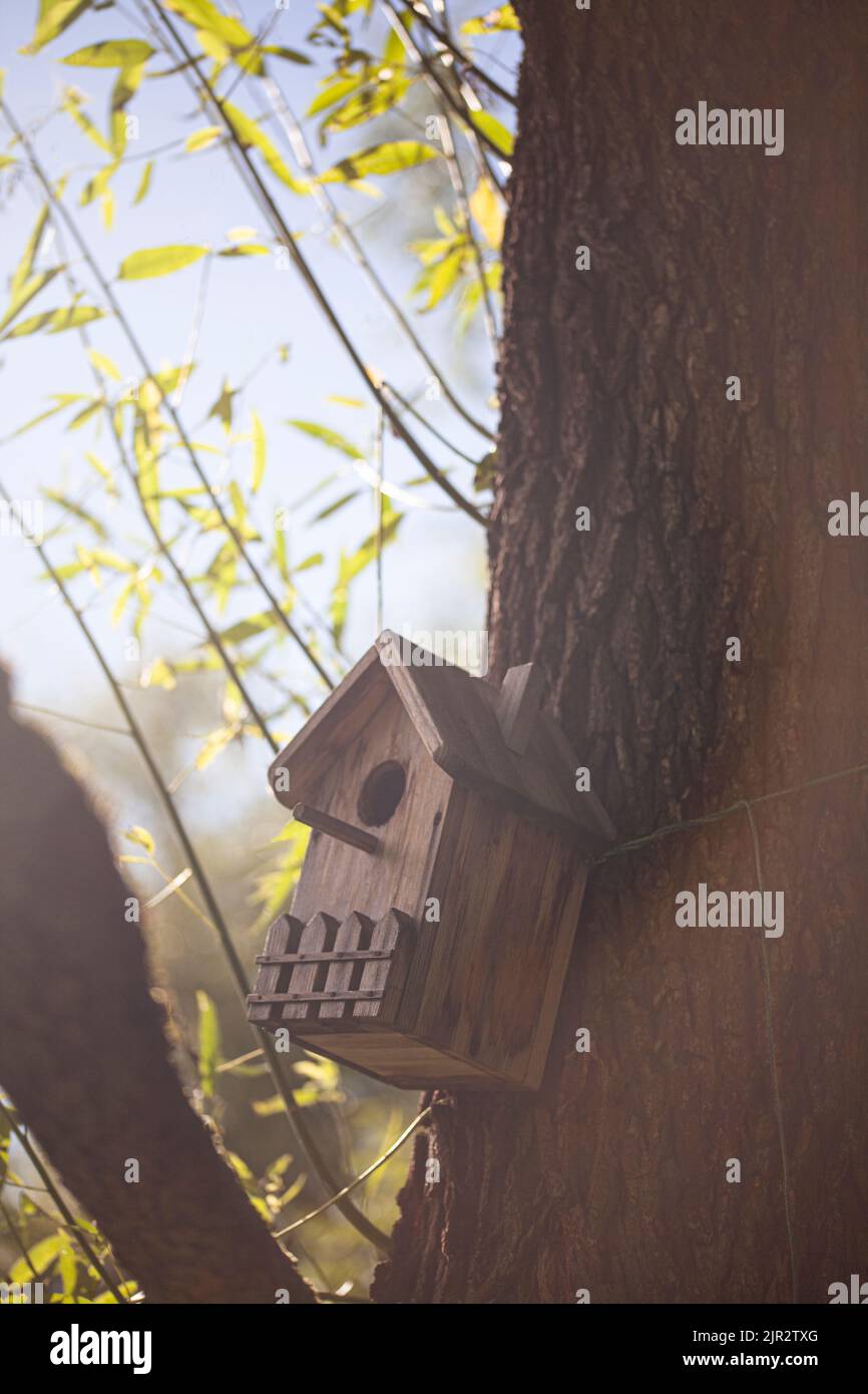 Birdhouses and bird feeder in the forest on a blurry background of ...