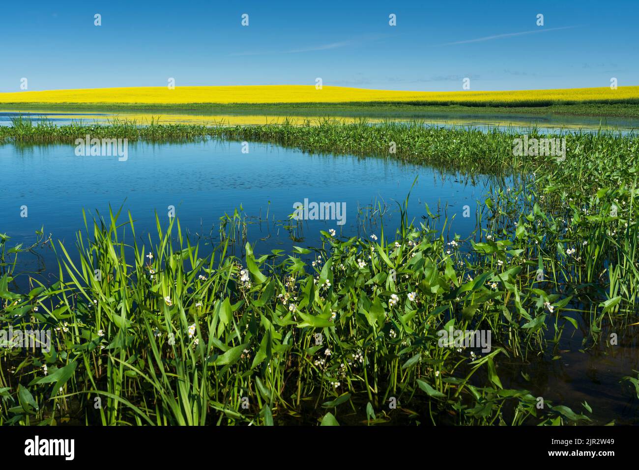 Saskatchewan farm hi-res stock photography and images - Alamy