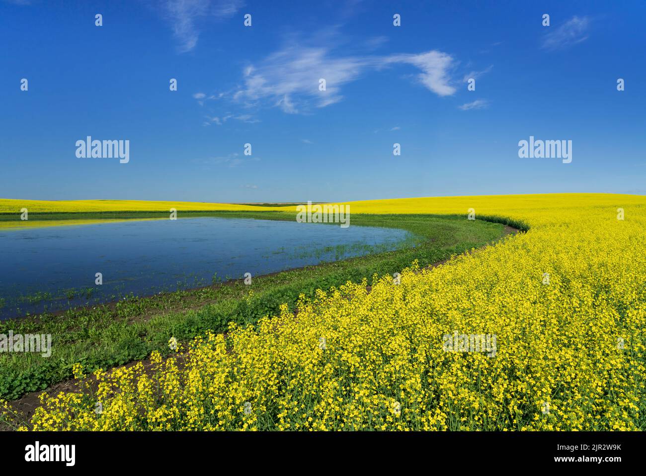 Saskatchewan farm hi-res stock photography and images - Alamy