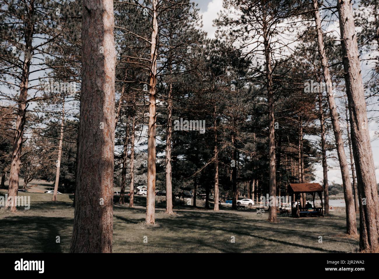 Beautiful Nature Park in Pittsburgh, Pennsylvania Stock Photo - Alamy