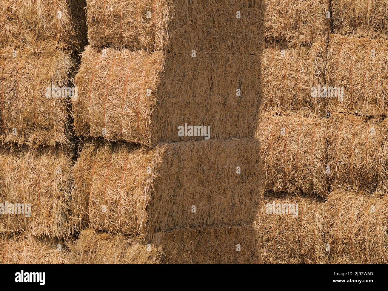Stacked hay bales Stock Photo - Alamy
