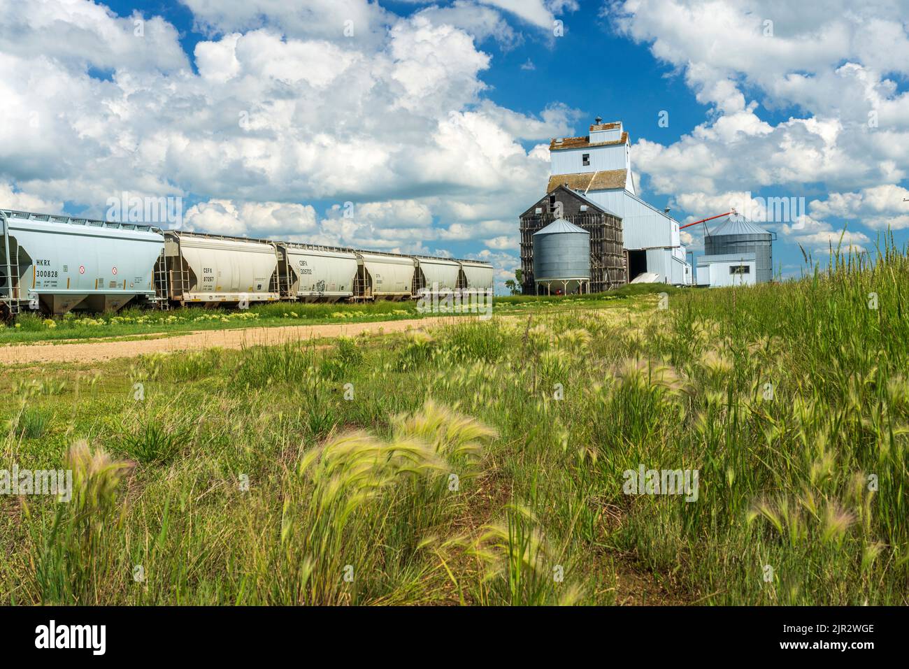 The grain storage elevator and train cars at Bromhead, Saskatchewan ...