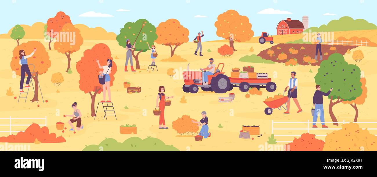 People on autumn harvesting. Farm workers picking agriculture fall ...