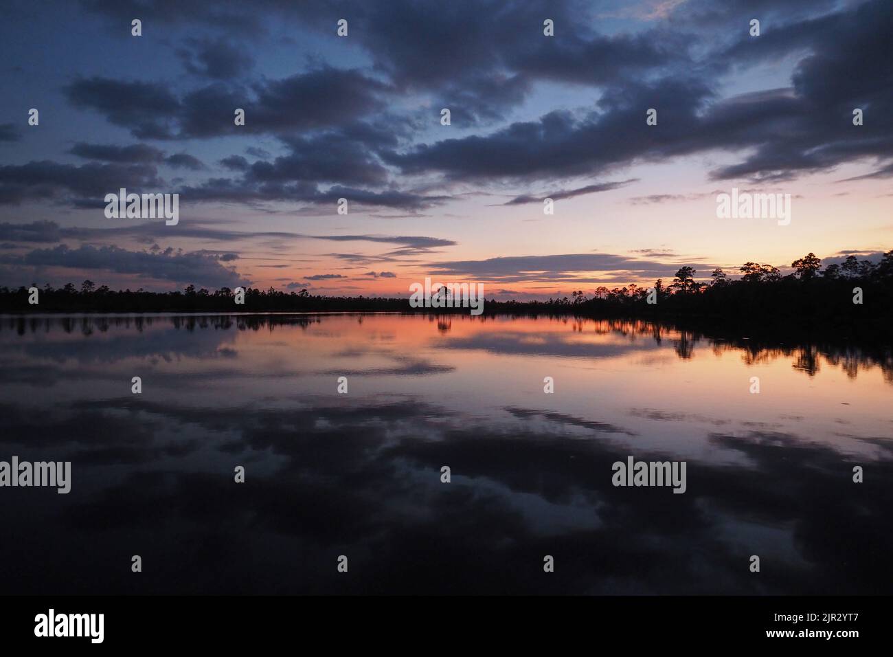 Everglades twilight scene hi-res stock photography and images - Alamy
