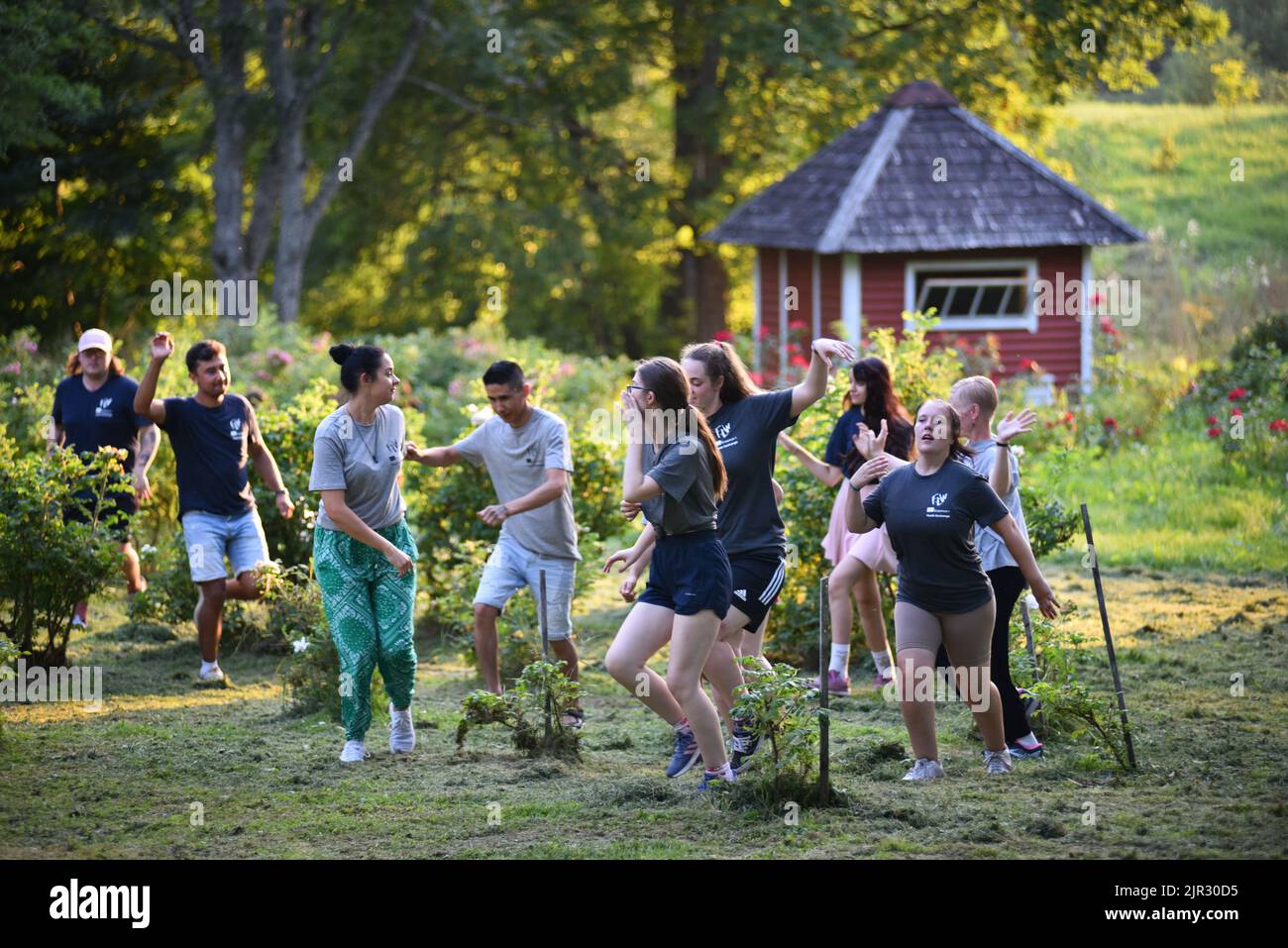 Young people dancing and having fun in the park. Latvia - Luznava, 08. ...