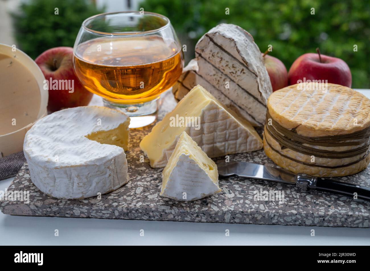 Cow cheeses of Normandy region - camembert, livarot, neufchatel, pont l ...