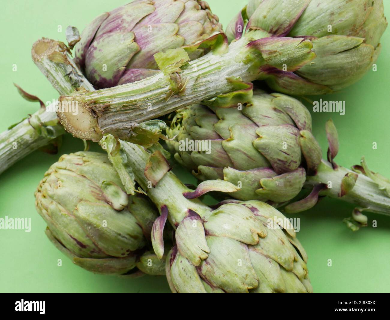 Artichokes on a green background, with a purplish green color, the ...