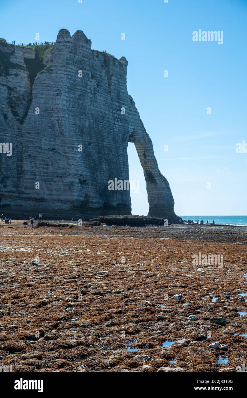 Low tide period and view on white stones on ocean bottom and chalk ...