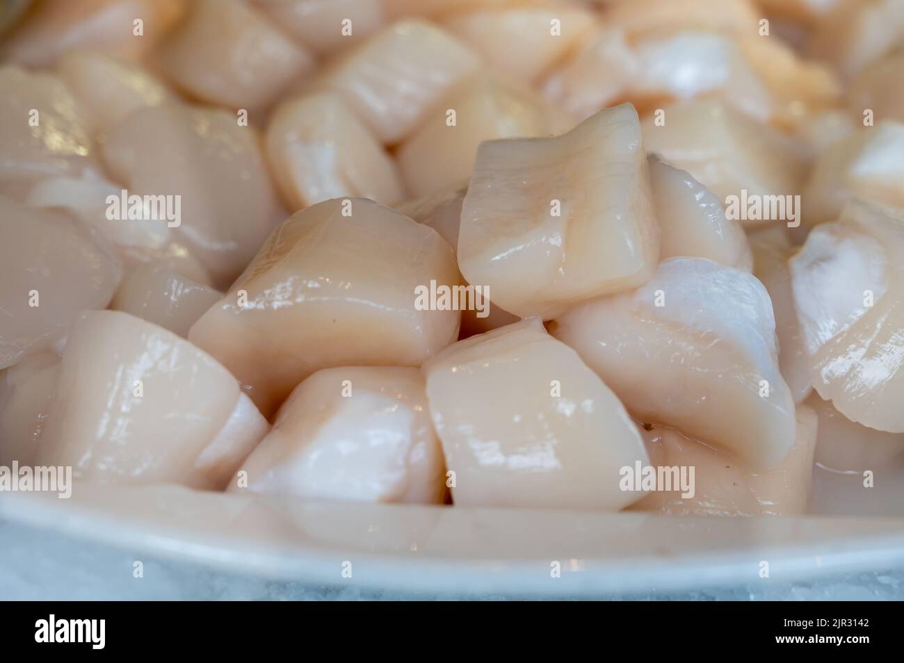 King scallop france hi-res stock photography and images - Alamy