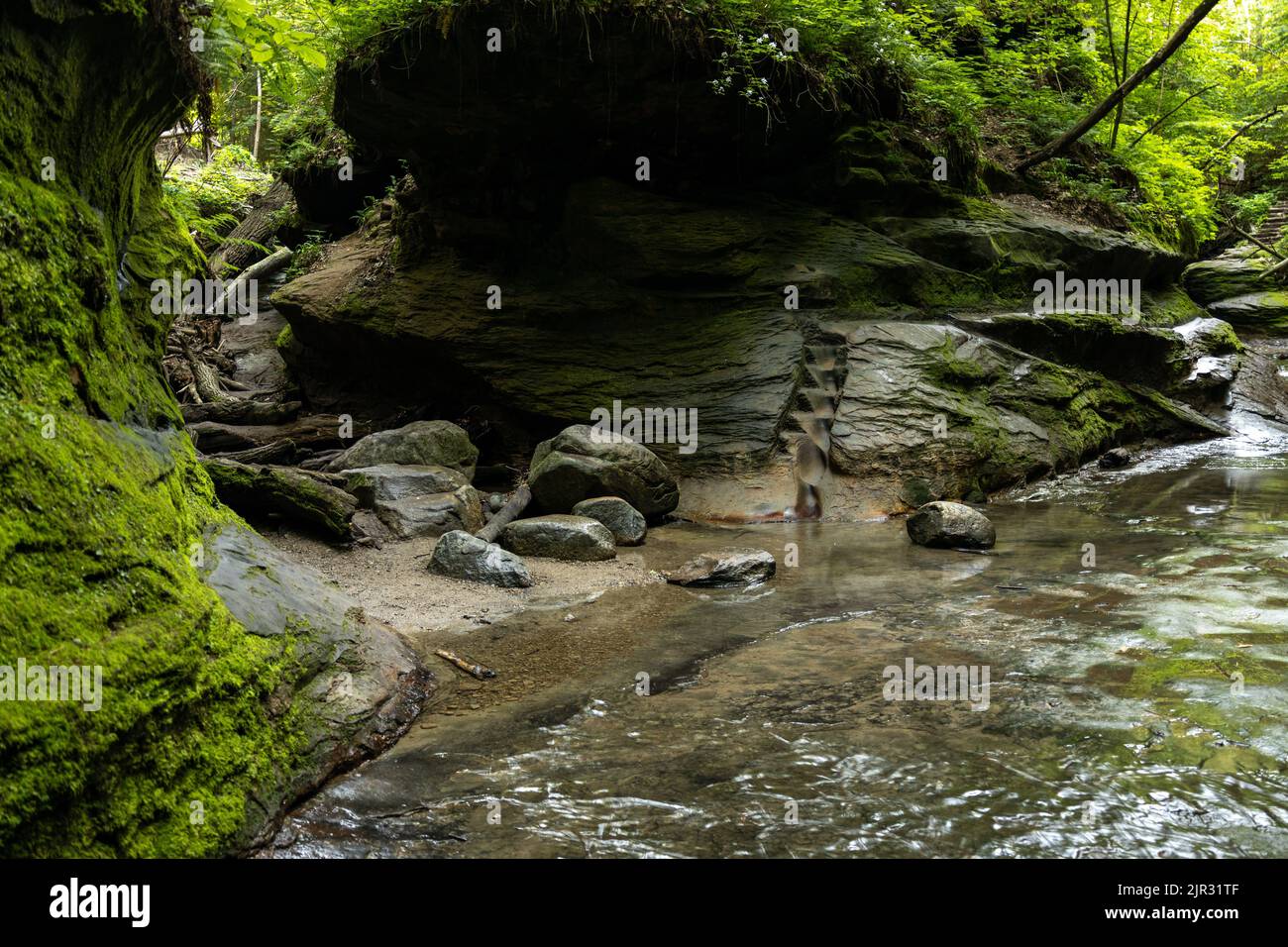 Pond rocks surrounded trees plants hi-res stock photography and images ...