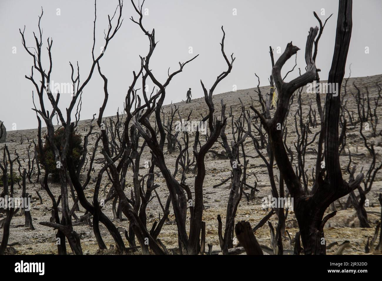 Garut, West Java, Indonesia. 21st Aug, 2022. A climber is seen enjoying ...