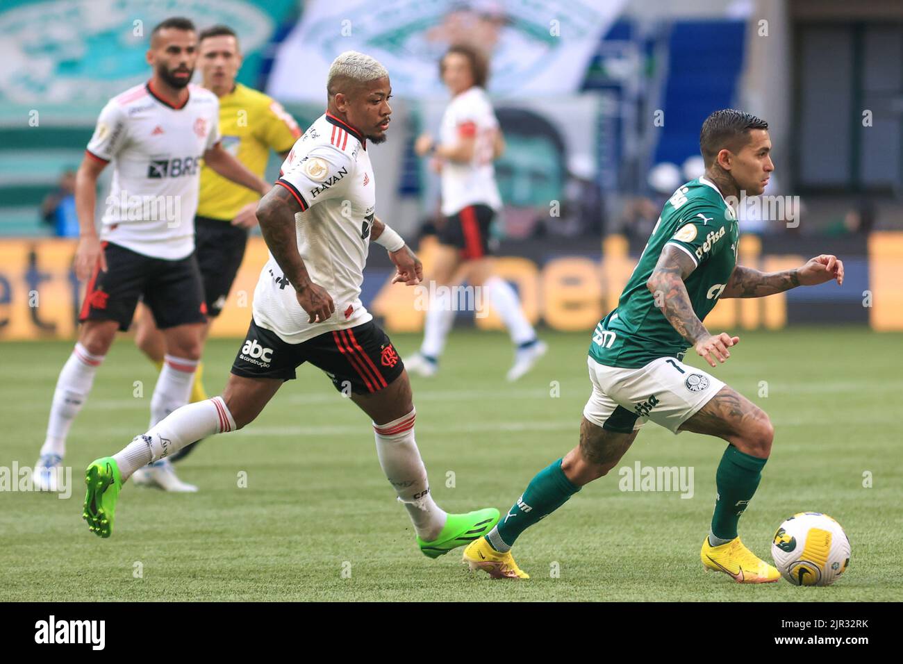 SP - Sao Paulo - 08/21/2022 - BRAZILIAN A 2022, PALMEIRAS X FLAMENGO ...