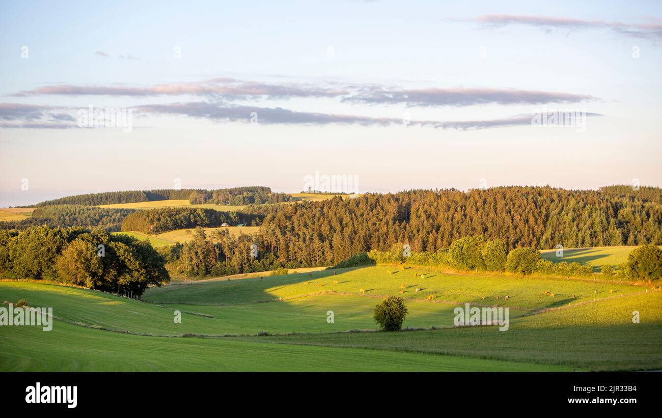 fields and forests in countryside landscape of belgian province namur ...