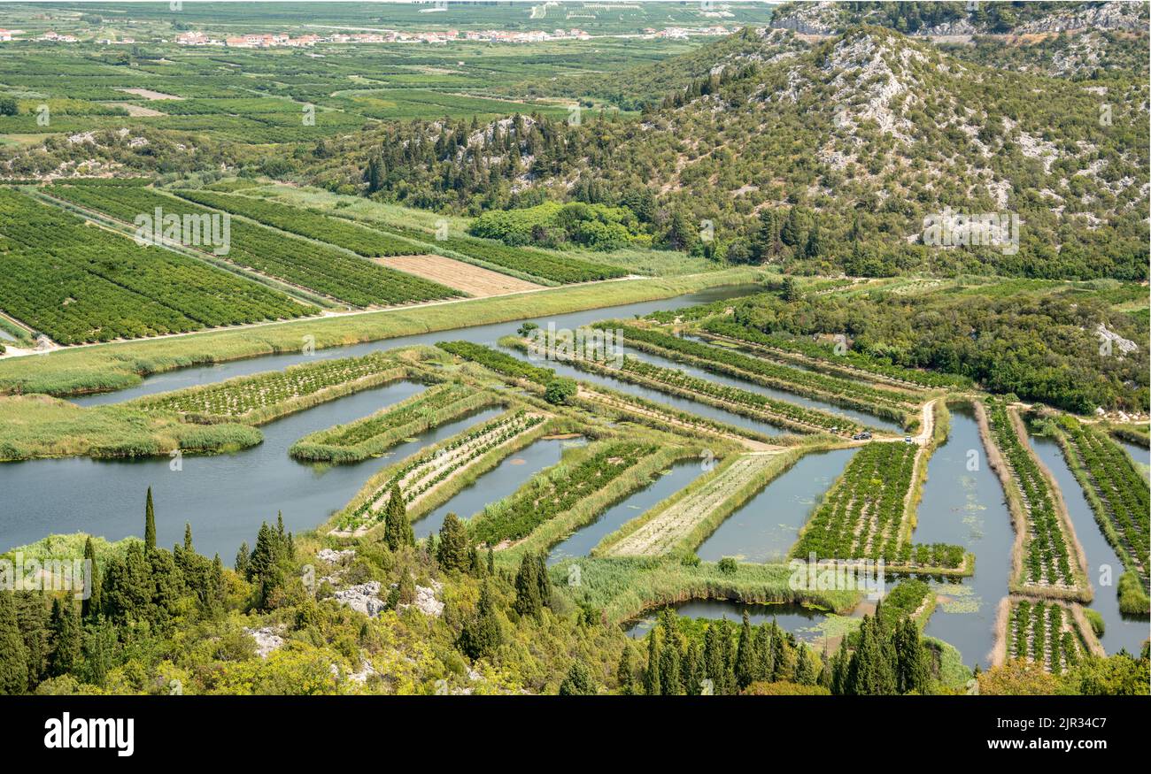 Croatian wine agriculture rice land Stock Photo - Alamy