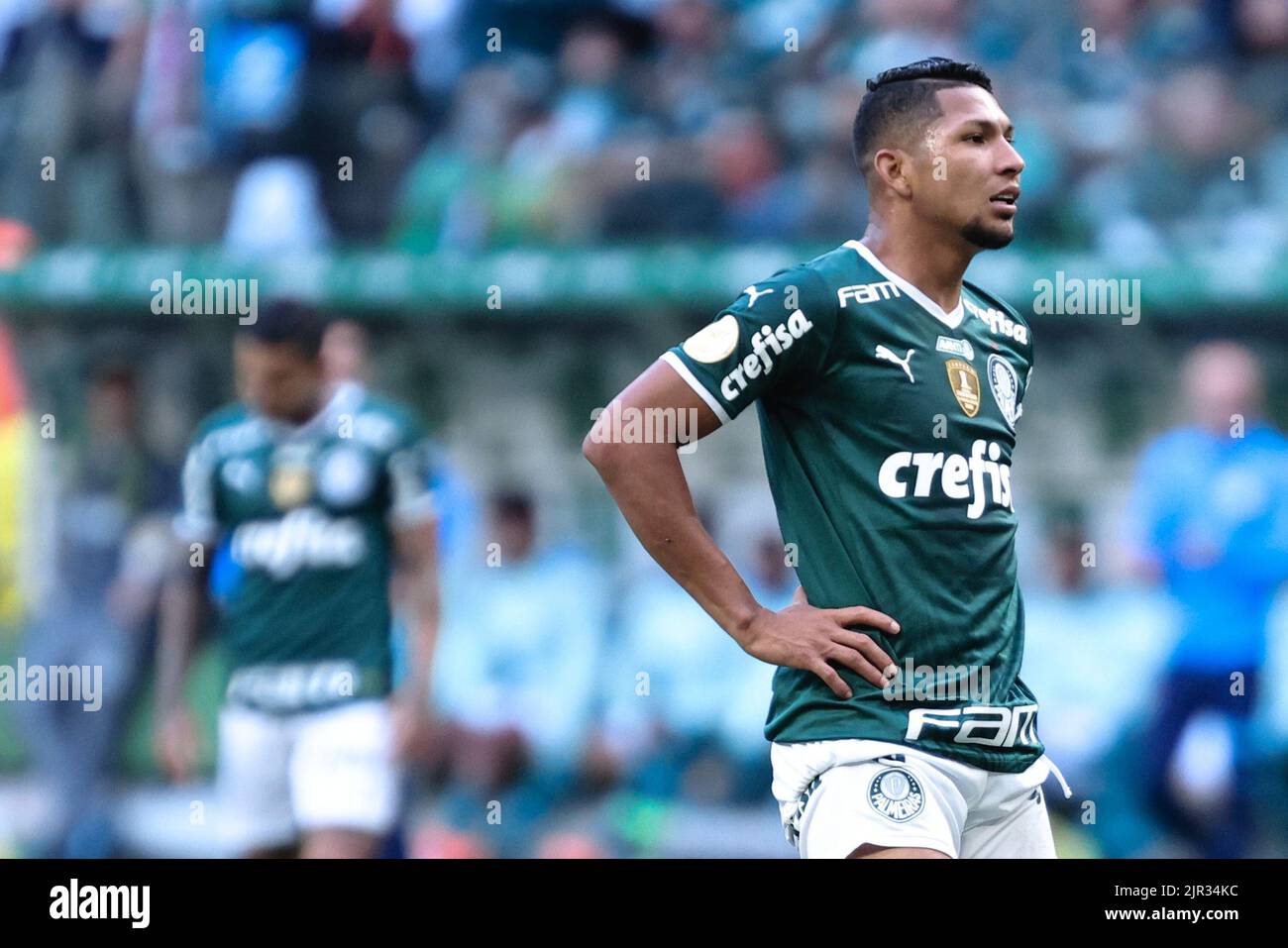 SP - Sao Paulo - 08/21/2022 - BRAZILIAN A 2022, PALMEIRAS X FLAMENGO ...